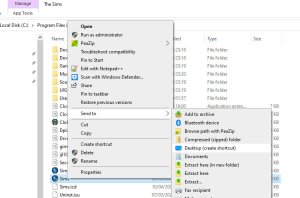 The Sims 1 in Windows 11 – Bogwarrior.com