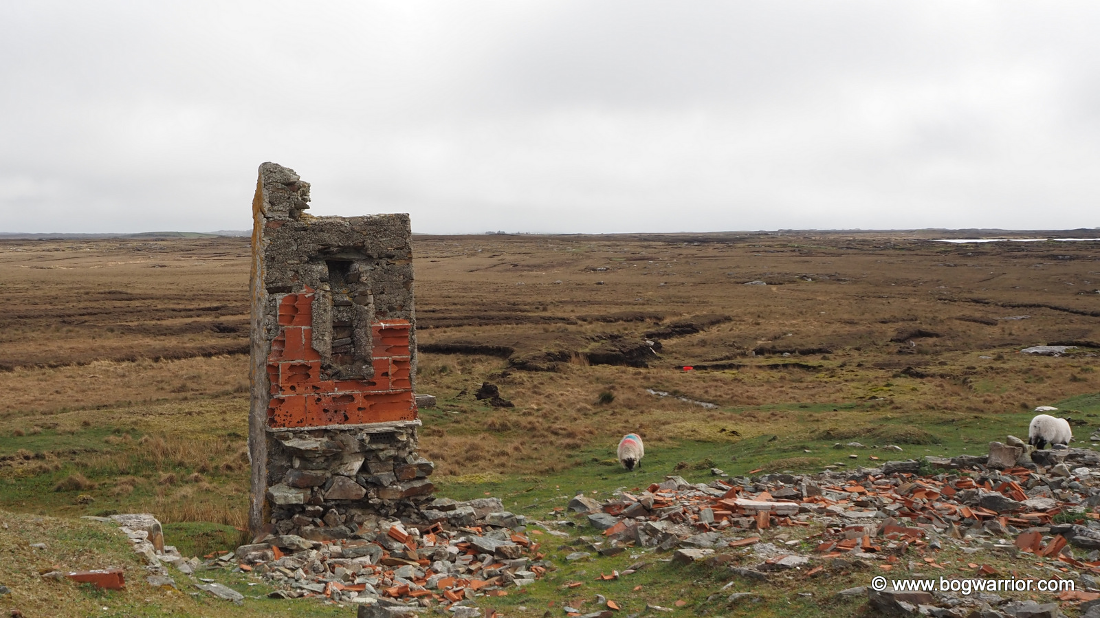 Derrigimlagh Bog – Be Not Here Now – Bogwarrior.com